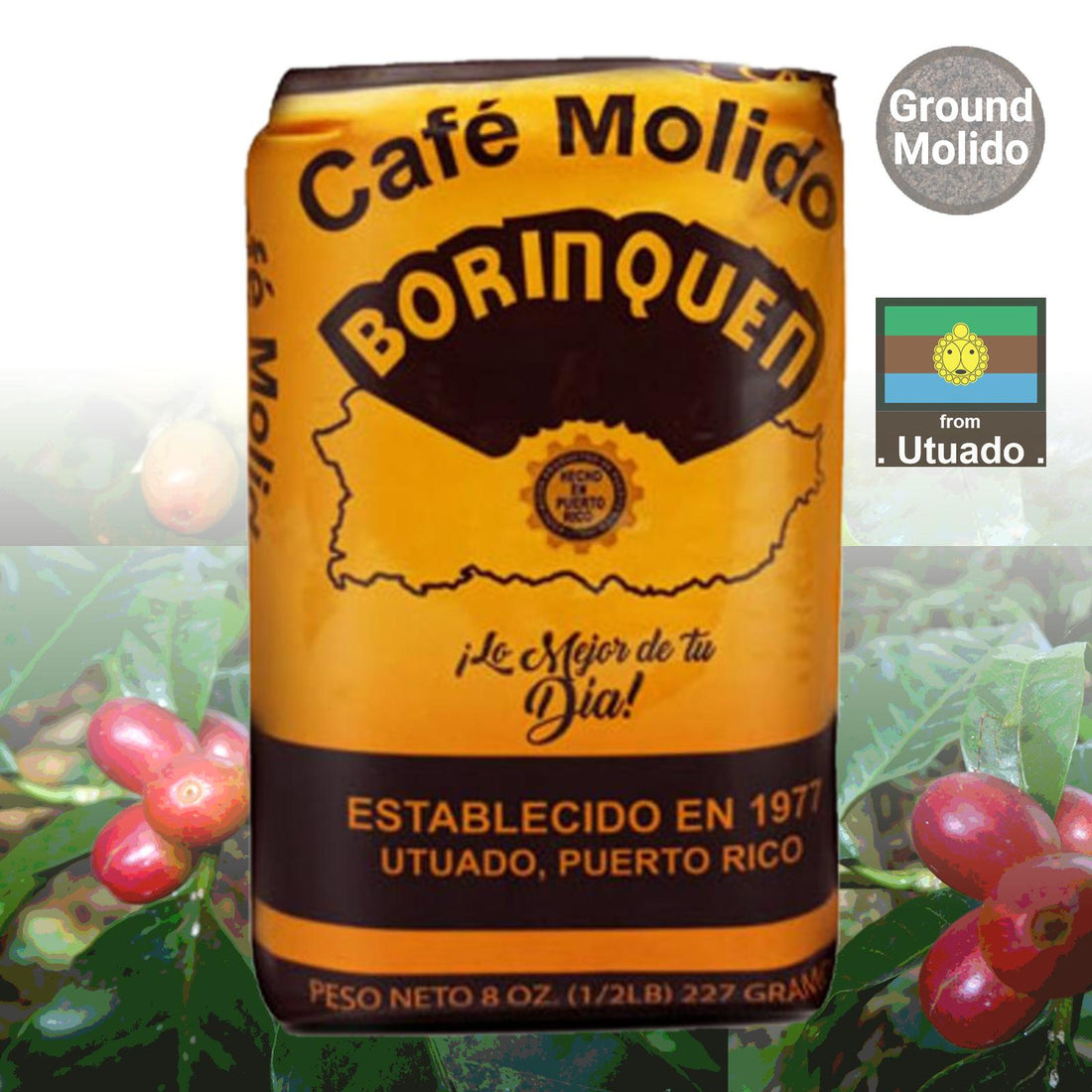 Café Gustos Coffee – Puerto Rico Coffee Hub