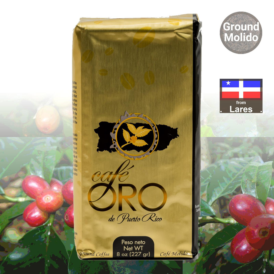 Puerto Rico Coffee Hub | Buy Fresh From Our Artisan Coffee Roasters